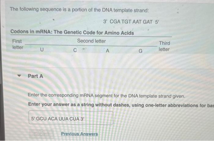 Solved What are the anticodons of the tRNAs for the MRNA in | Chegg.com