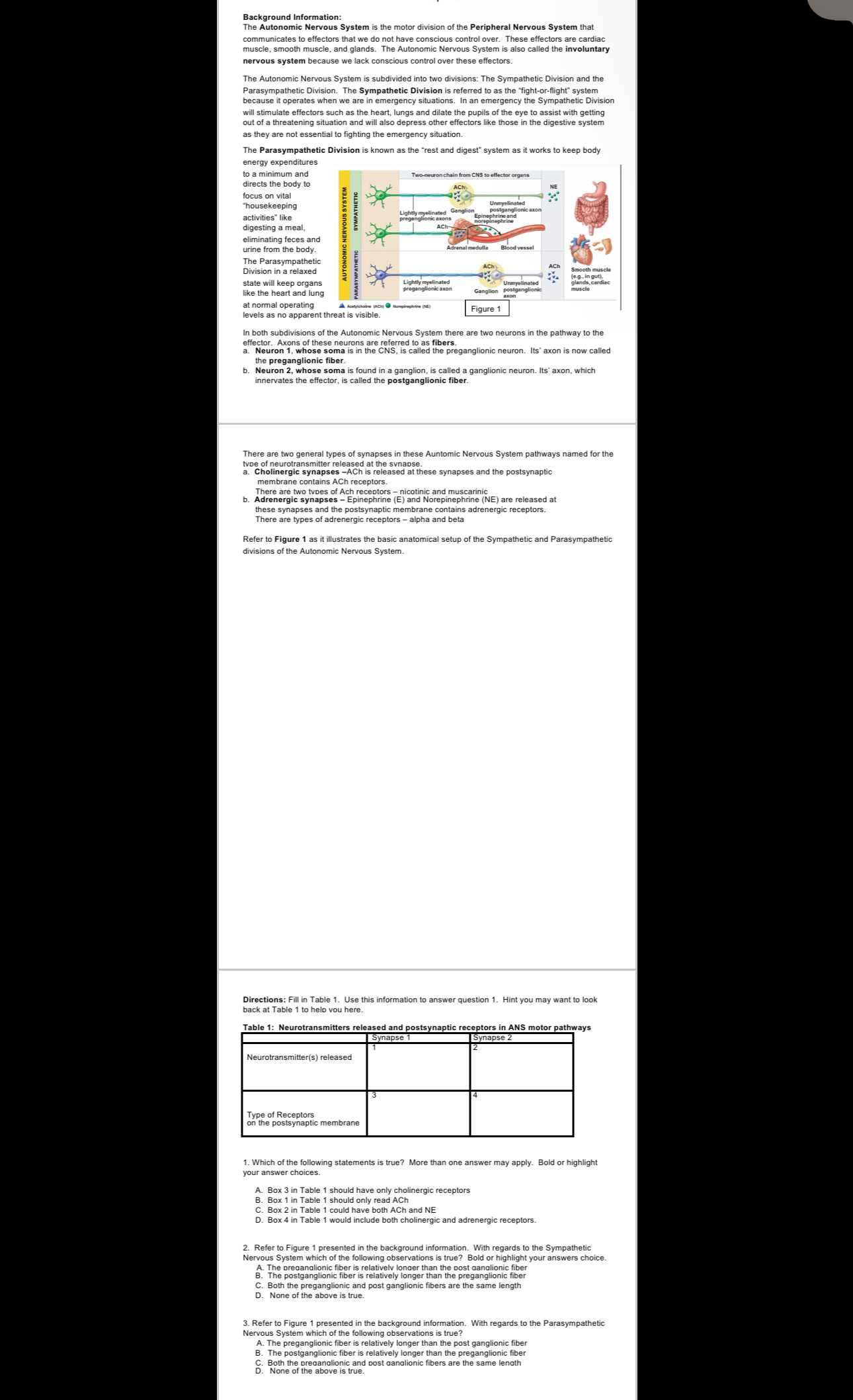 Solved Background Information:The Autonomic Nervous System | Chegg.com