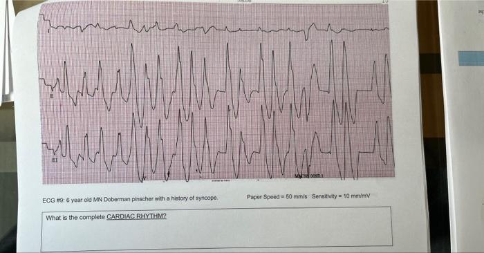 Solved ECG \#9: 6 year old MN Doberman pinscher with a | Chegg.com