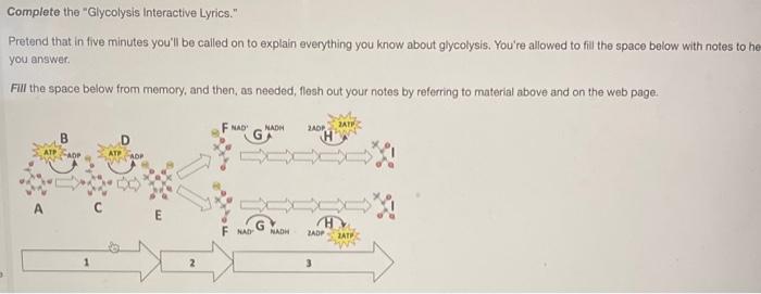 Solved Erom mamonu list the three main phases of alycolysis, | Chegg.com