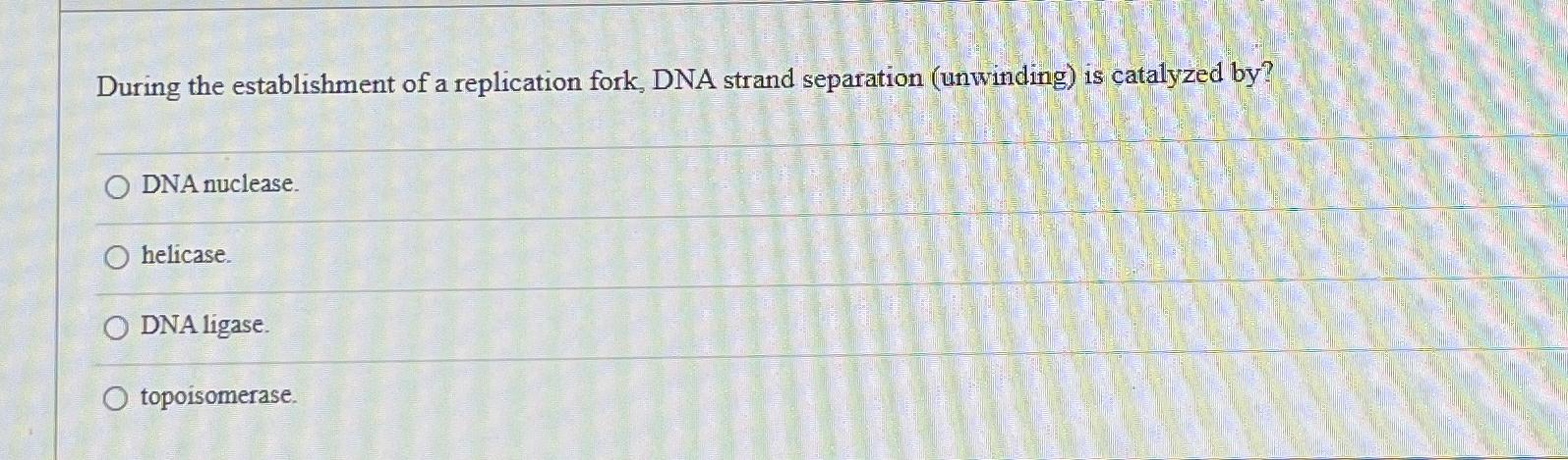 Solved During the establishment of a replication fork, DNA | Chegg.com