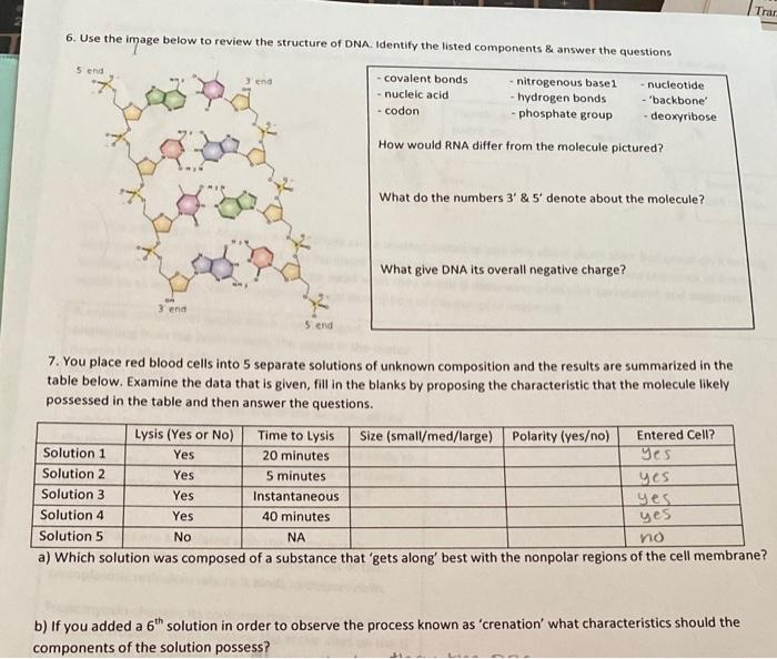 Solved 6. Use the image below to review the structure of | Chegg.com