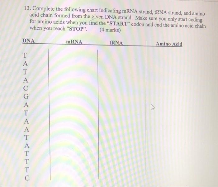 Solved 13. Complete the following chart indicating mRNA | Chegg.com
