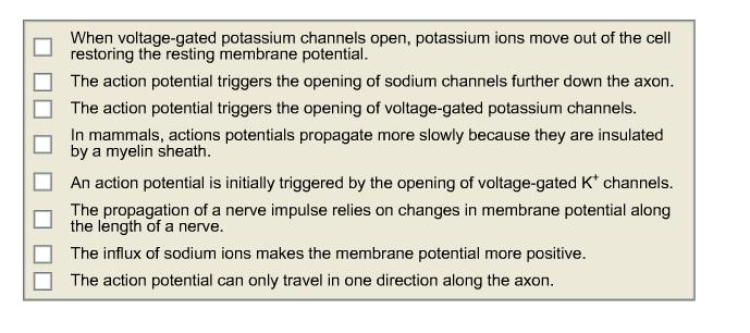 When voltage-gated potassium channels open, potassium | Chegg.com