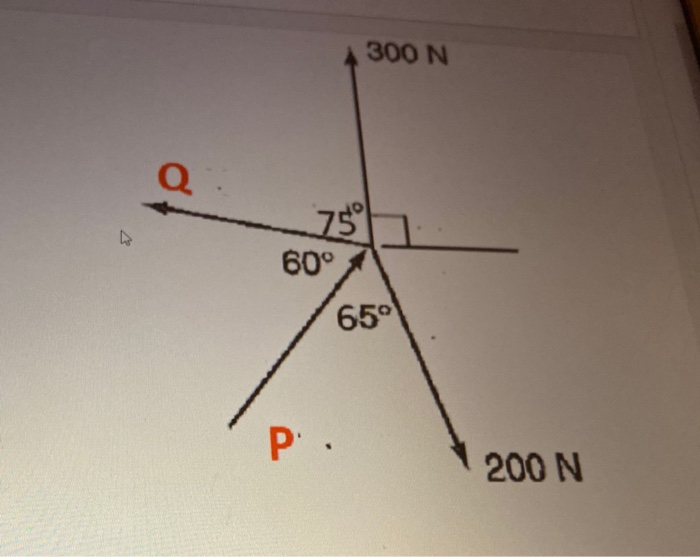 Solved 300 N о 75° 60° 65° P. 200 N Find Fnet in N. If P | Chegg.com