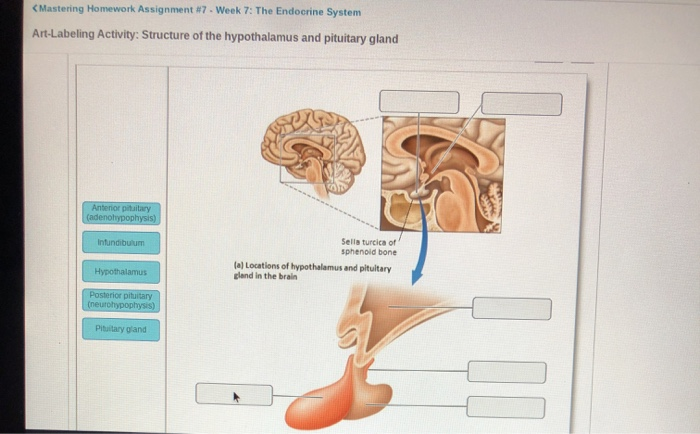 Solved need help asap please and thanks | Chegg.com