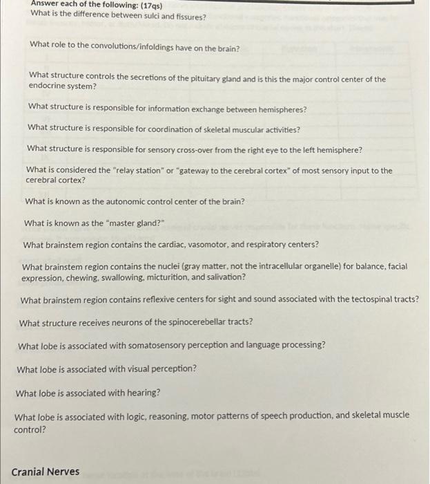 Solved What role to the convolutions/infoldings have on the | Chegg.com