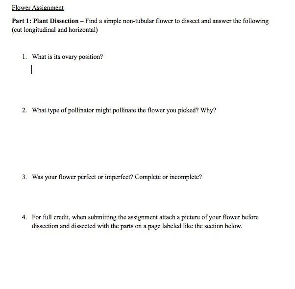 Solved Flower Assignment Part 1: Plant Dissection - Find a | Chegg.com