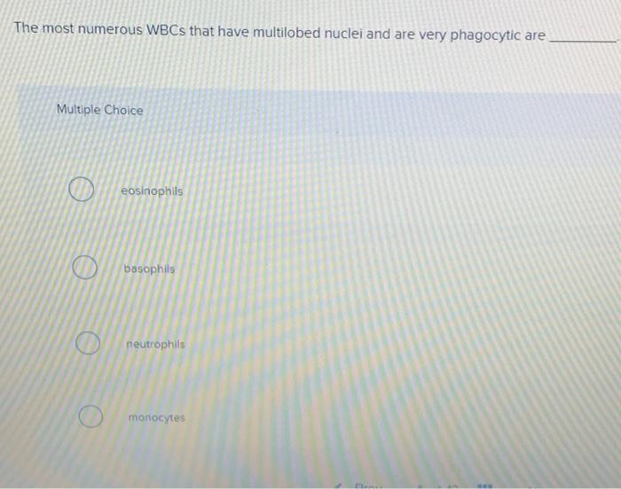 Solved The most numerous WBCs that have multilobed nuclei | Chegg.com