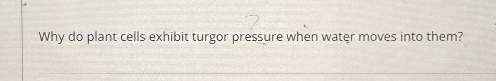 Solved Why do plant cells exhibit turgor pressure when water | Chegg.com