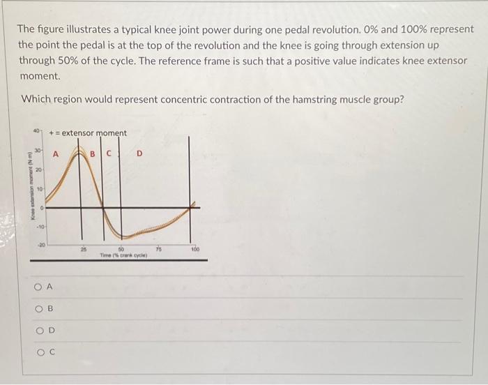 Solved which region would represent concentric contraction | Chegg.com