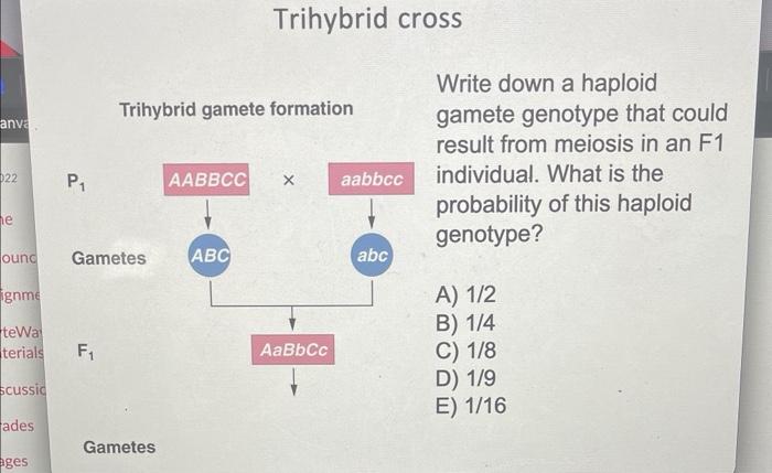 Solved Trihybrid cross Trihybrid gamete formation gamete | Chegg.com