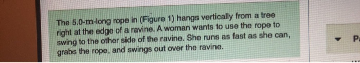 The 5.0-m-long rope in (Figure 1) hangs vertically | Chegg.com
