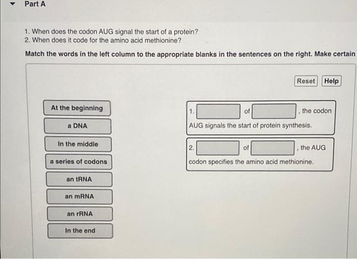 Solved Part A 1. When does the codon AUG signal the start of | Chegg.com