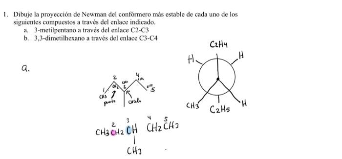 Solved 1. Dibuje la proyección de Newman del confórmero más | Chegg.com
