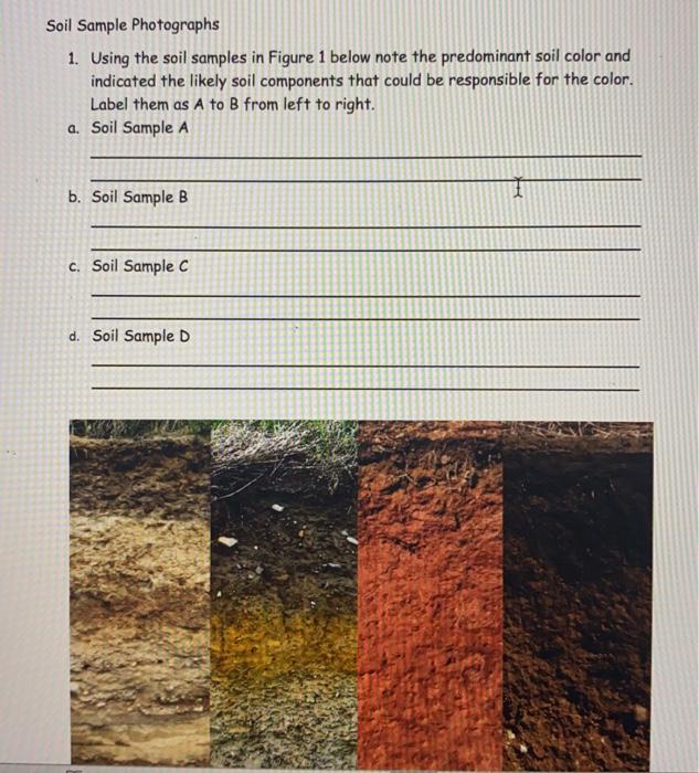 Solved Soil Color Soil color is one of the most obvious | Chegg.com