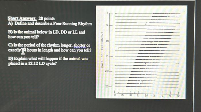 Solved Short A nswers: 20 points A) Define and describe a | Chegg.com