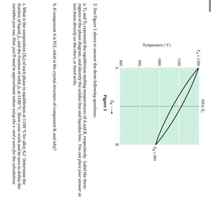 Solved a. TA and TB represent the equilibrium melting | Chegg.com