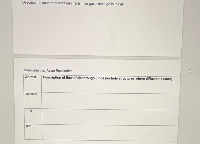 Solved Describe the counter-current mechanism for gas | Chegg.com