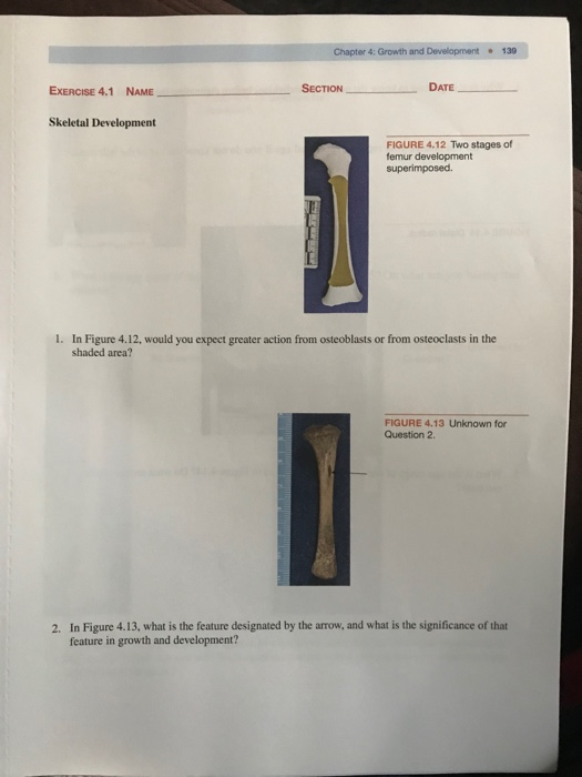 Solved Chapter 4: Growth and Development • 139 EXERCISE 4.1 | Chegg.com