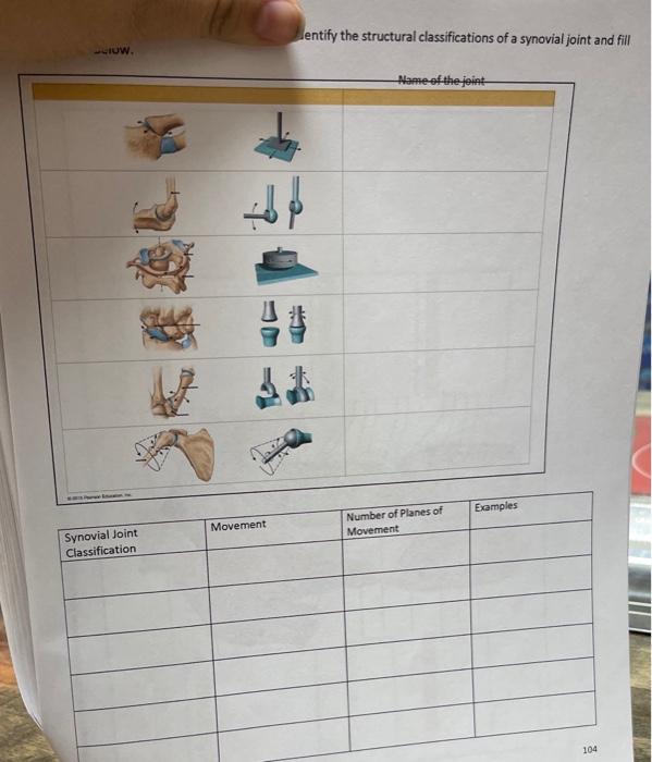Solved lentify the structural classifications of a synovial | Chegg.com
