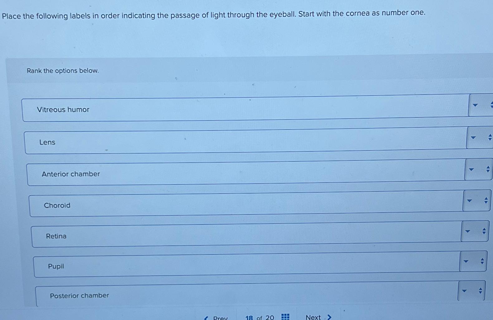 Solved Place the following labels in order indicating the | Chegg.com