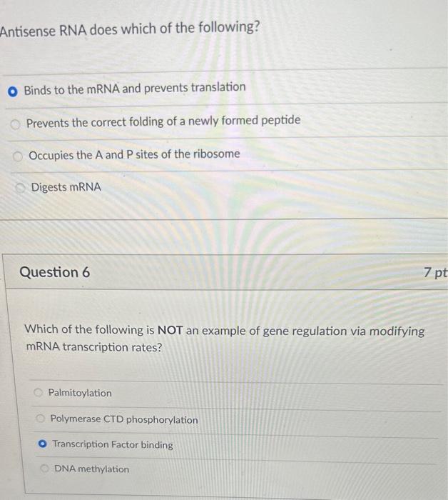 Solved Antisense RNA does which of the following? Binds to | Chegg.com