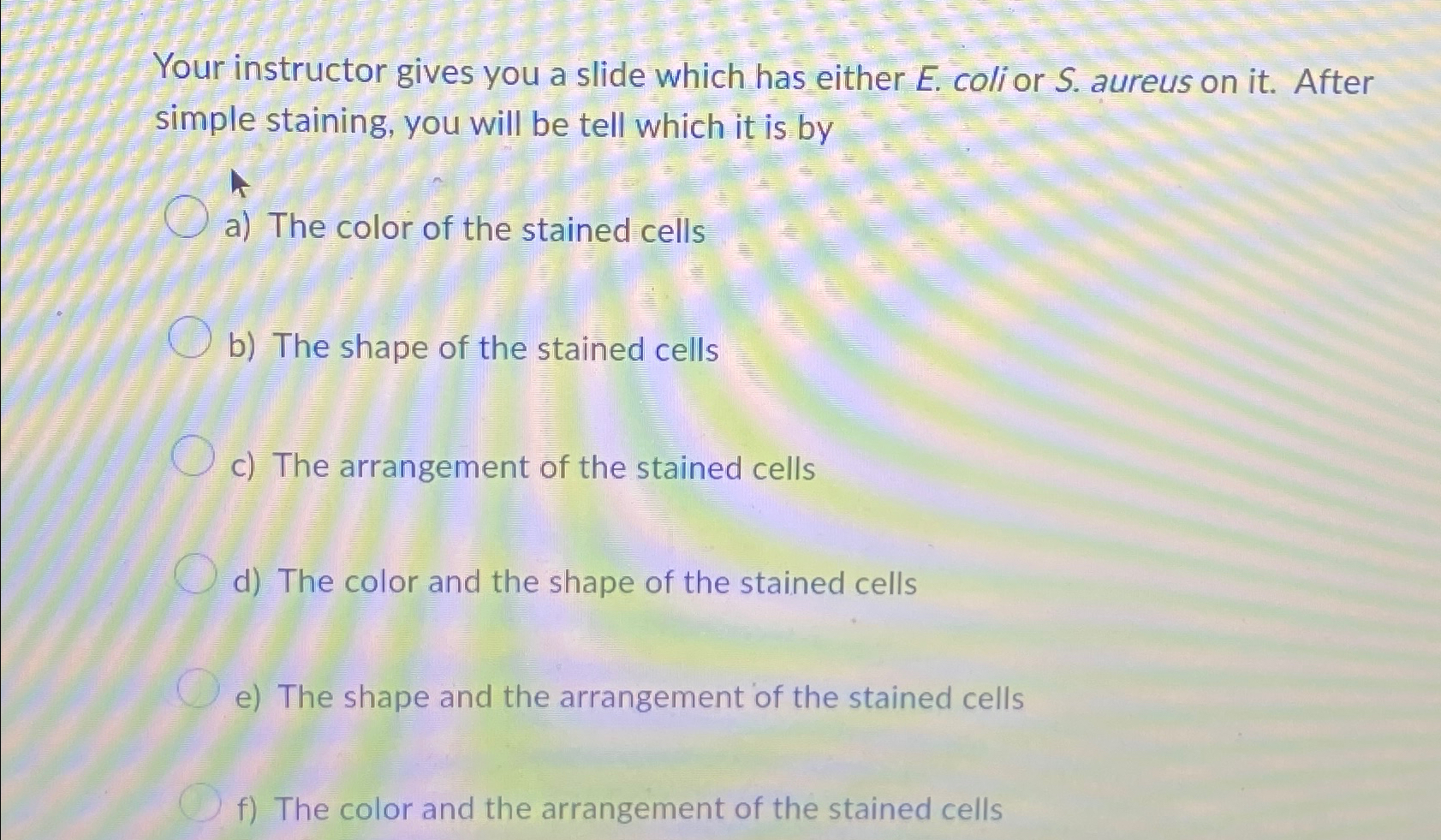 Solved Your instructor gives you a slide which has either E. | Chegg.com