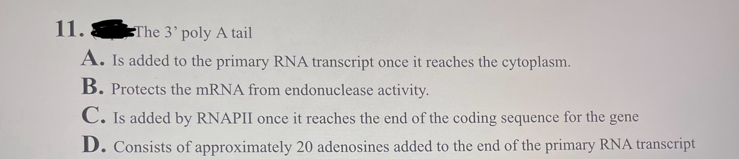 Solved The 3' ﻿poly A tailA. ﻿Is added to the primary RNA | Chegg.com