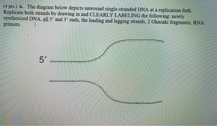 Solved (4 pts.) 6. The diagram below depicts unwound | Chegg.com
