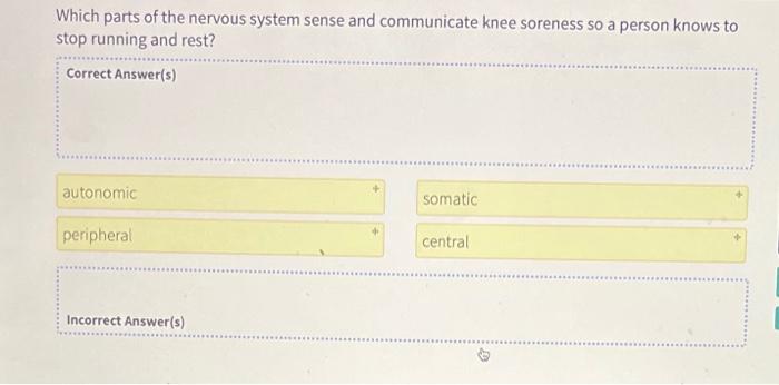 Solved Which parts of the nervous system sense and | Chegg.com