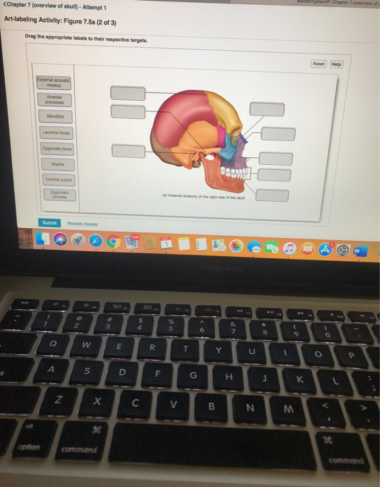 Solved And Chapter 7 loverview of | Chegg.com