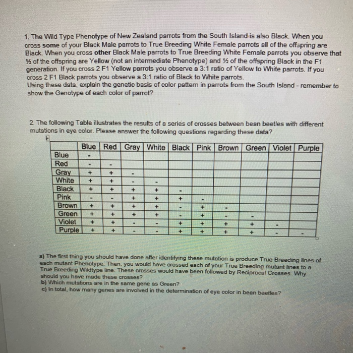 Solved 1. The Wild Type Phenotype of New Zealand parrots | Chegg.com