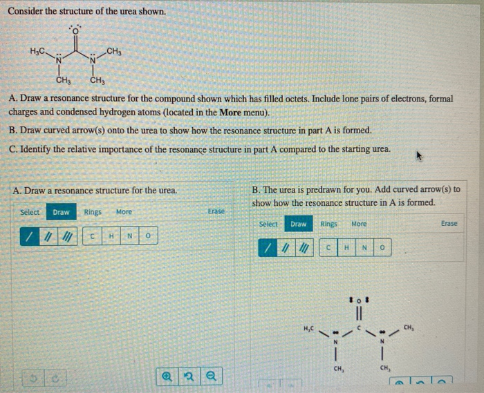 Solved Consider the structure of the urea shown. H3C. CH3 M | Chegg.com