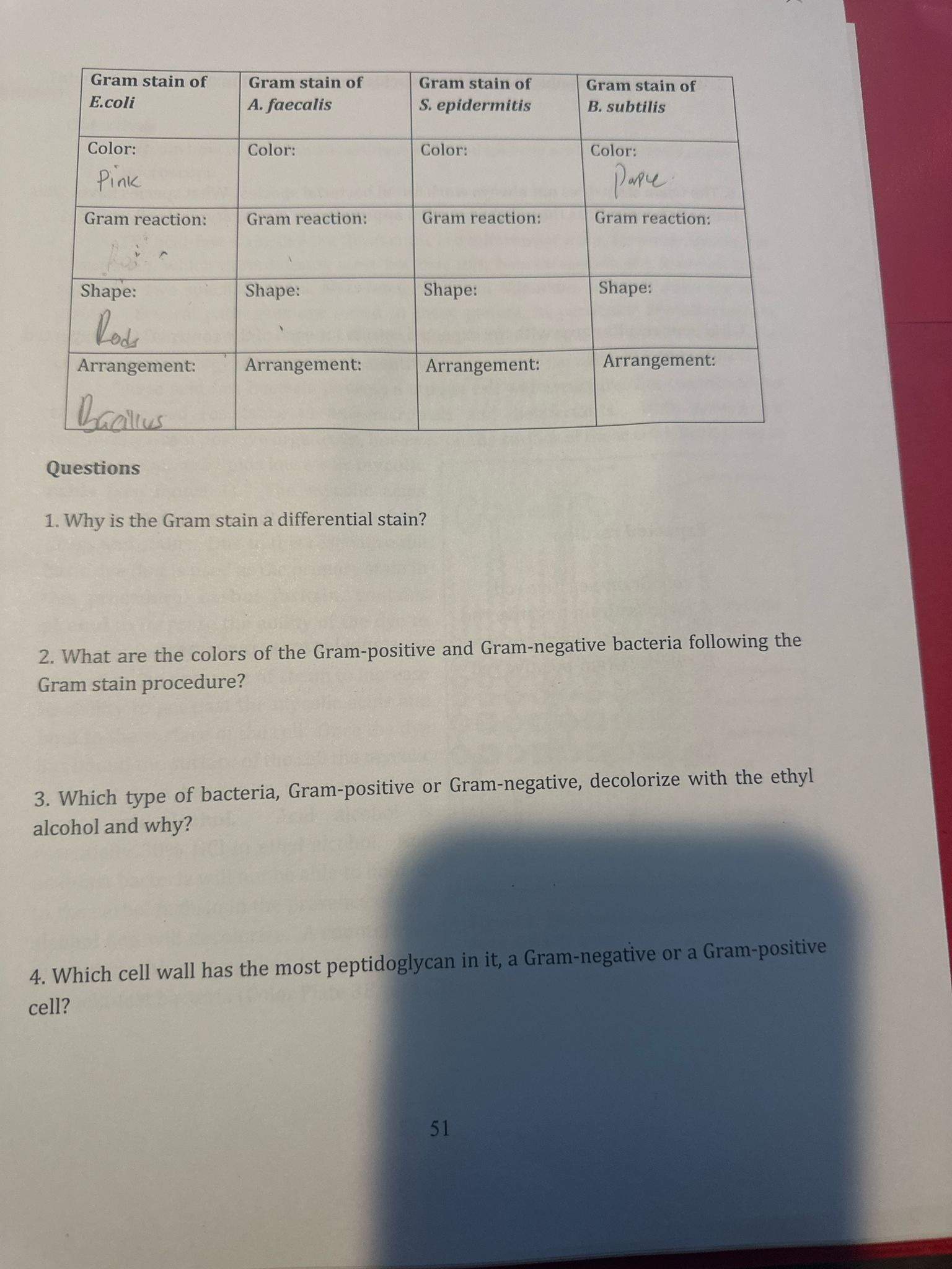 Solved QuestionsWhy is the Gram stain a differential | Chegg.com