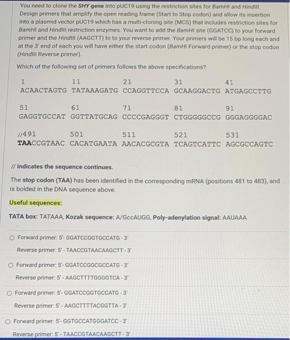 Solved You need to clone the SHY gene into pUC19 using the | Chegg.com