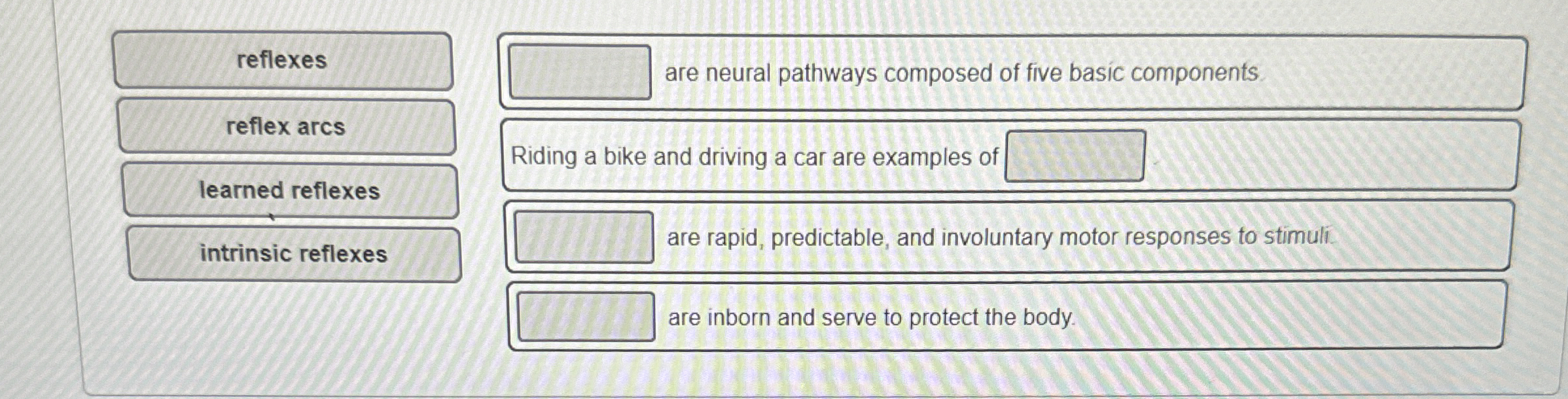 Solved reflexesreflex arcslearned reflexesintrinsic | Chegg.com