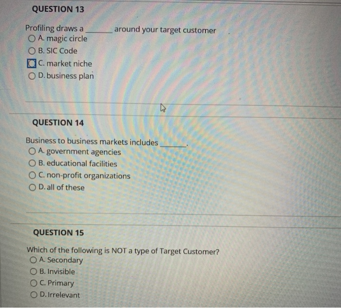 Solved QUESTION 13 around your target customer Profiling | Chegg.com
