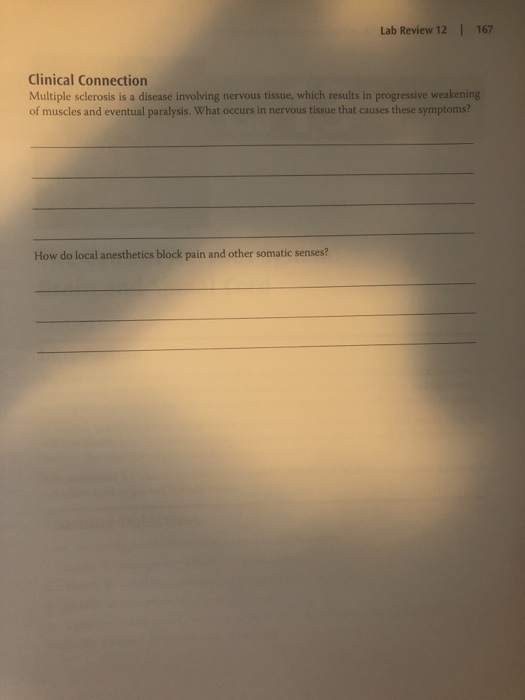 Solved Lab Review 12 167 Clinical Connection Multiple | Chegg.com