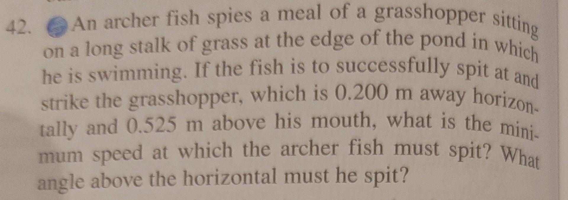 Solved 2. An archer fish spies a meal of a grasshopper | Chegg.com