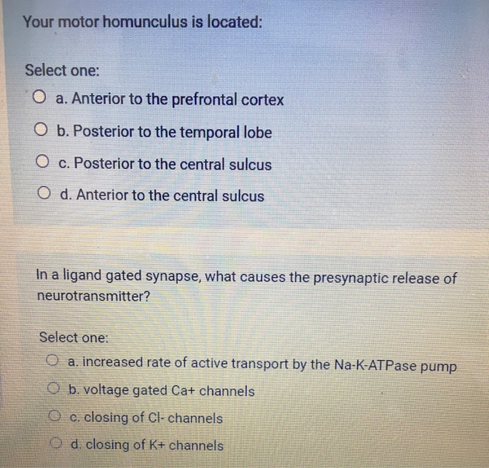 Solved Your motor homunculus is located: Select one: O a. | Chegg.com