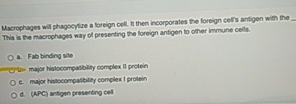 Solved Macrophages will phagocytize a foreign cell. It then | Chegg.com