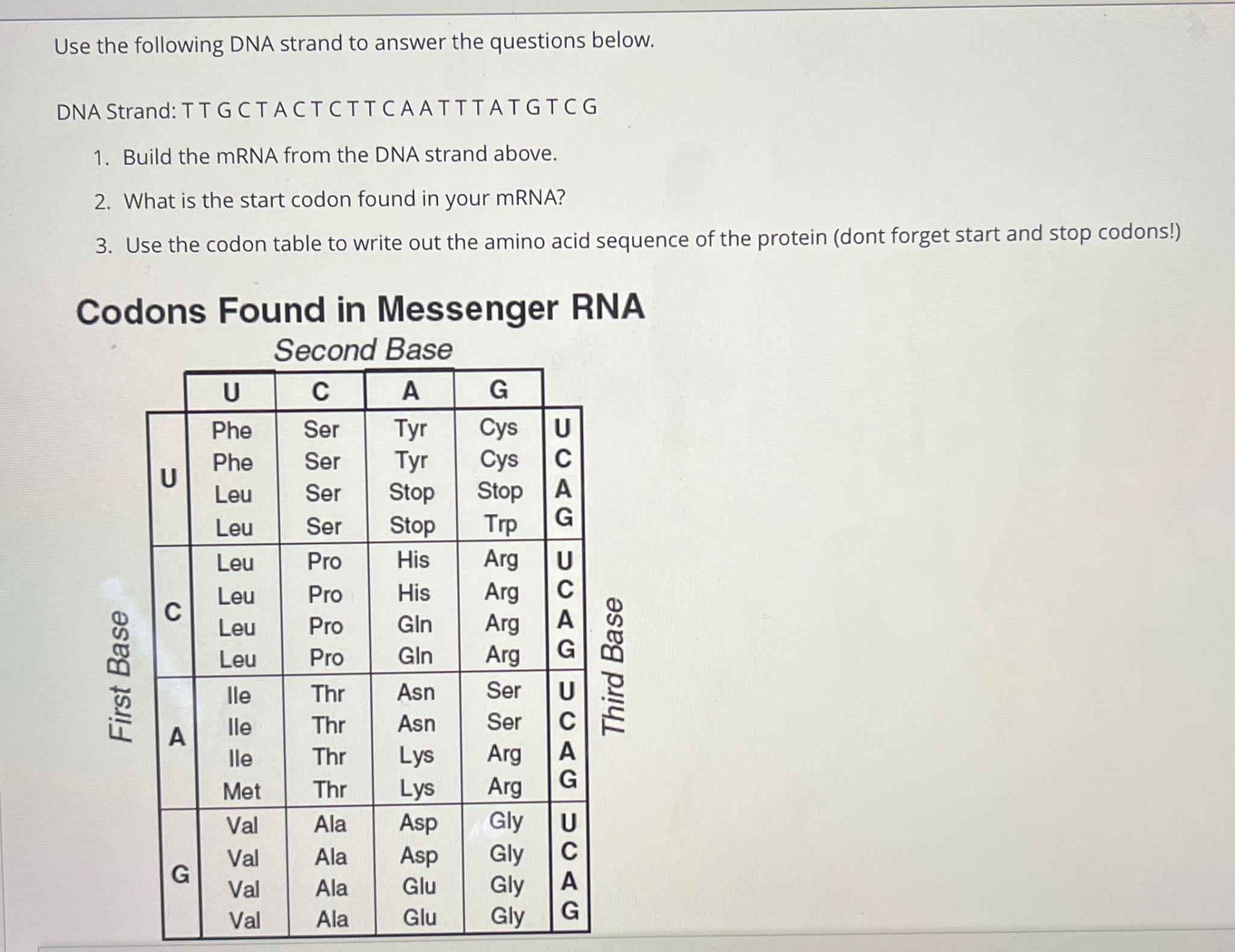 Solved Use the following DNA strand to answer the questions | Chegg.com