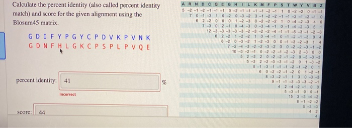 Calculate the percent identity (also called percent | Chegg.com