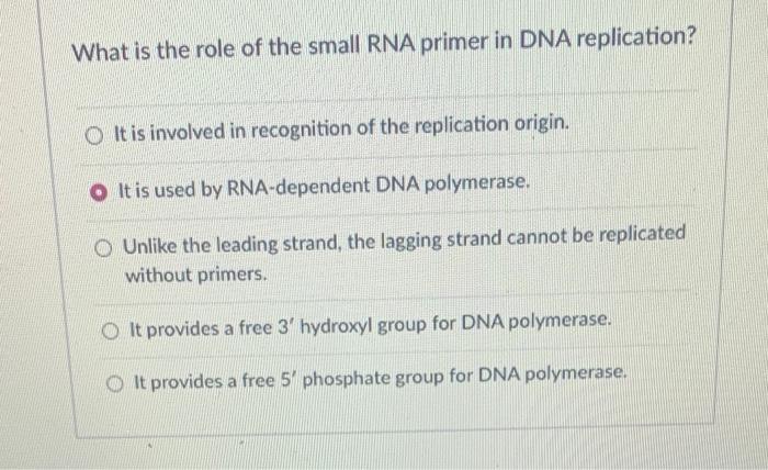 Solved What is the role of the small RNA primer in DNA | Chegg.com