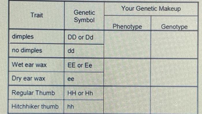 Solved Your Genetic Makeup Trait Genetic Symbol Phenotype | Chegg.com
