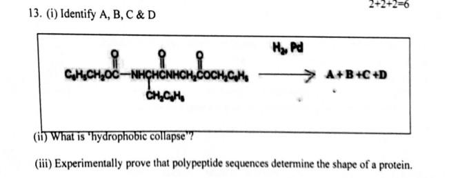 Solved (iii) Experimentally prove that polypeptide sequences | Chegg.com