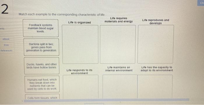 Solved 2 Match each example to the corresponding | Chegg.com