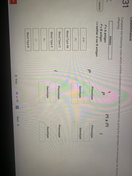 Solved Codominance 31 Complete The Following Cross Which Chegg Solved Codominance 31 Complete The Following Cross Which Chegg