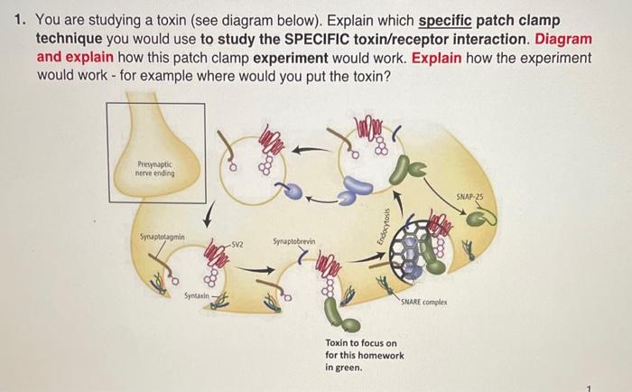 Solved 2. Just using the information shown on the diagram | Chegg.com